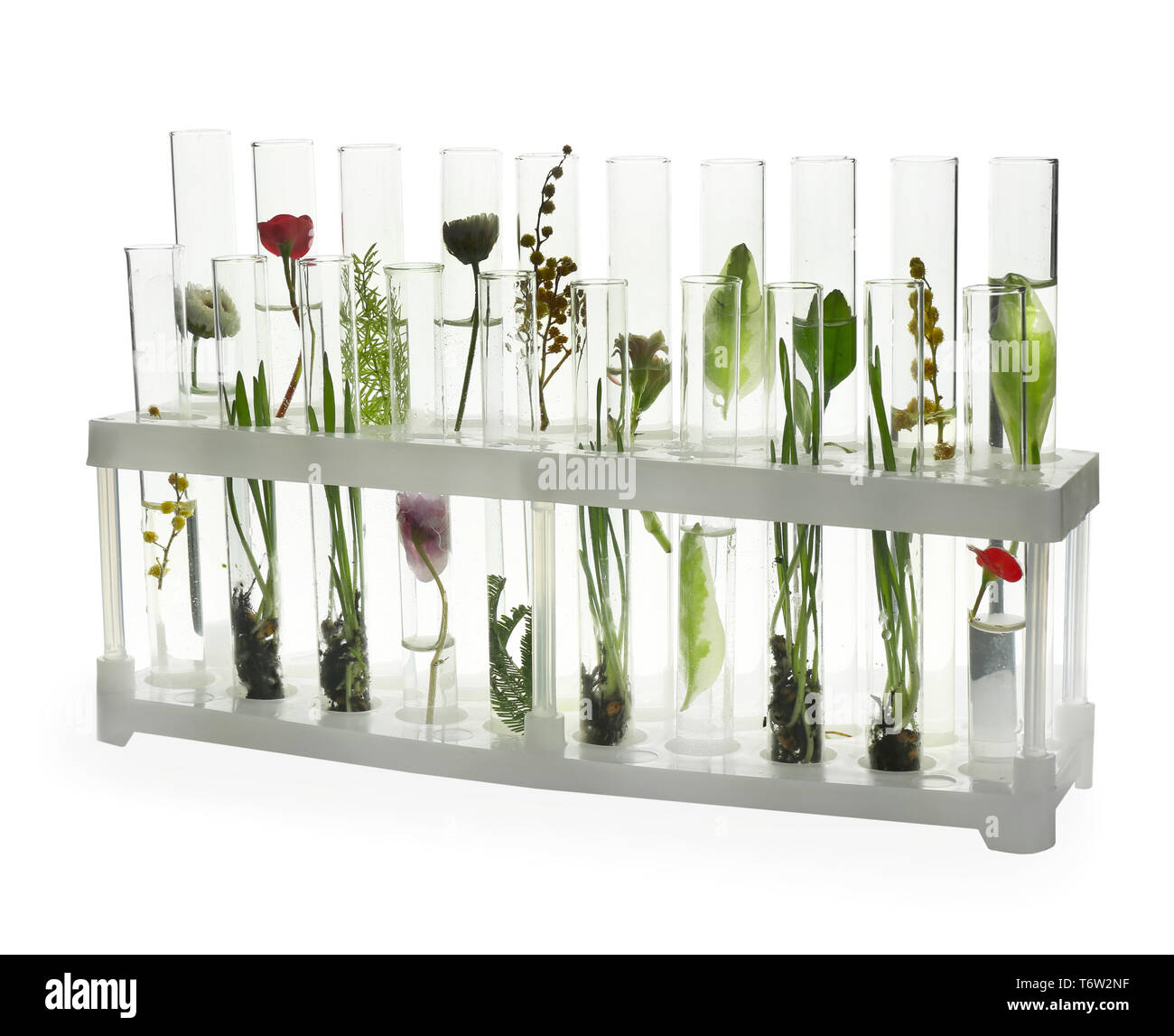 Extraction tube holder hi-res stock photography and images - Alamy