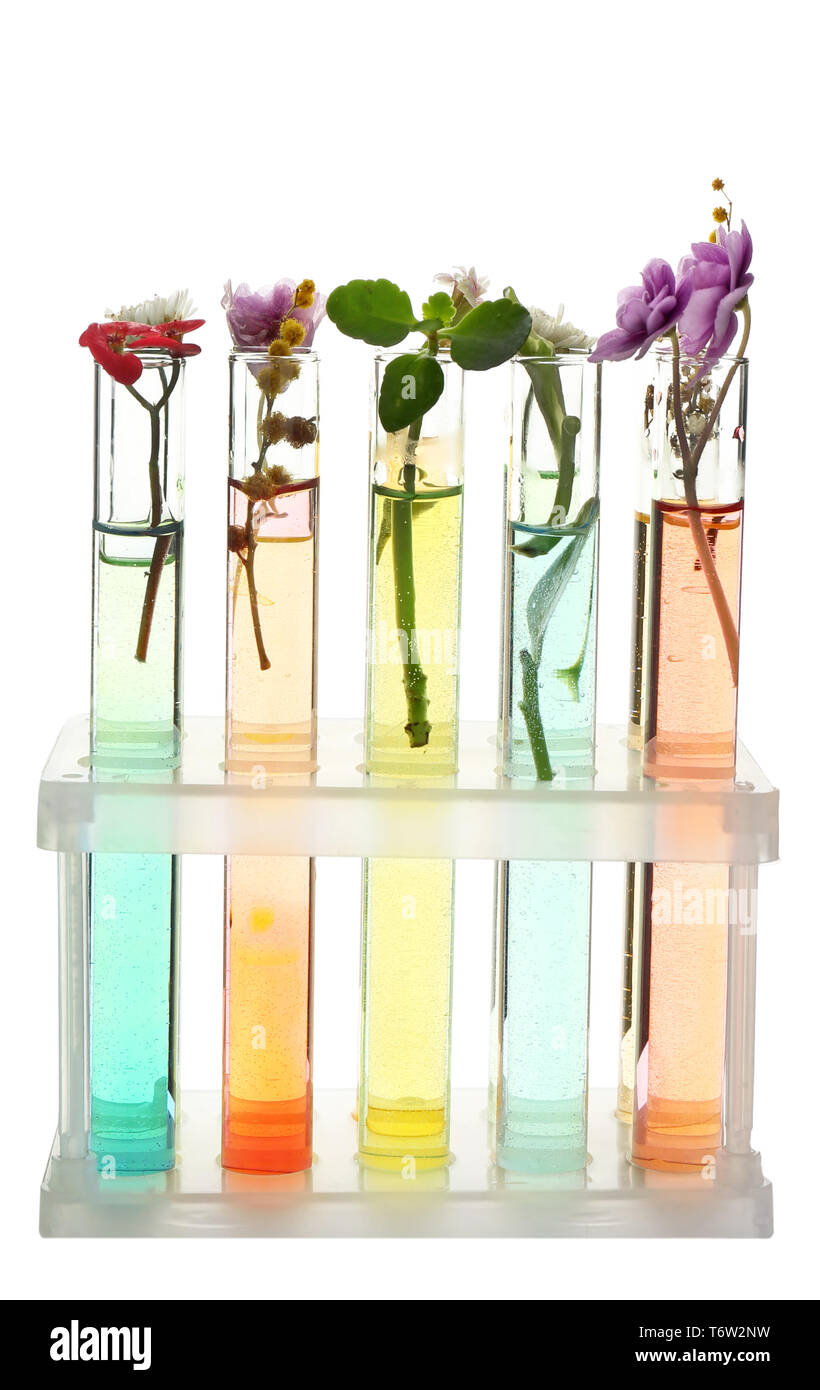 Extraction tube holder hi-res stock photography and images - Alamy