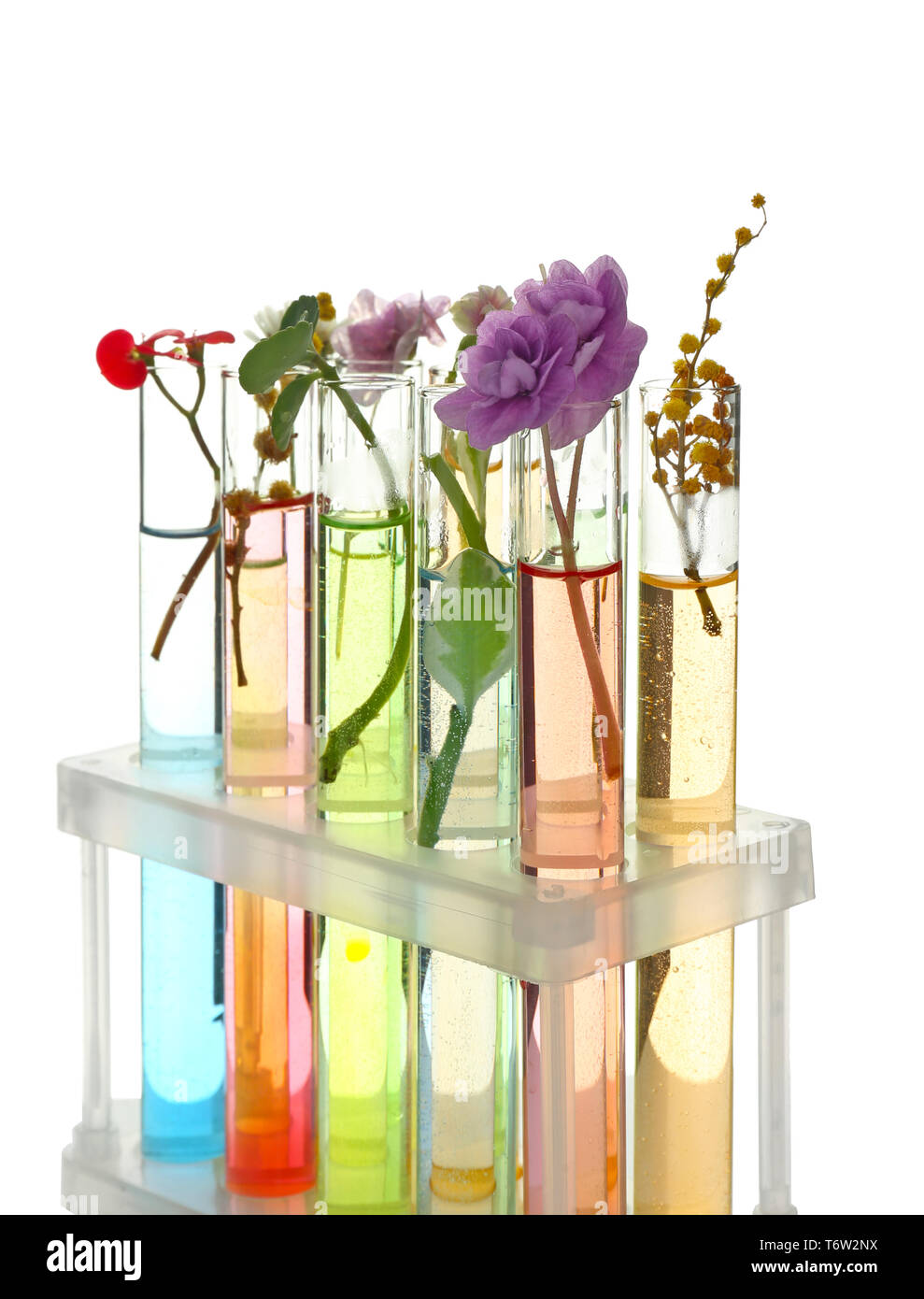 Extraction tube holder hi-res stock photography and images - Alamy