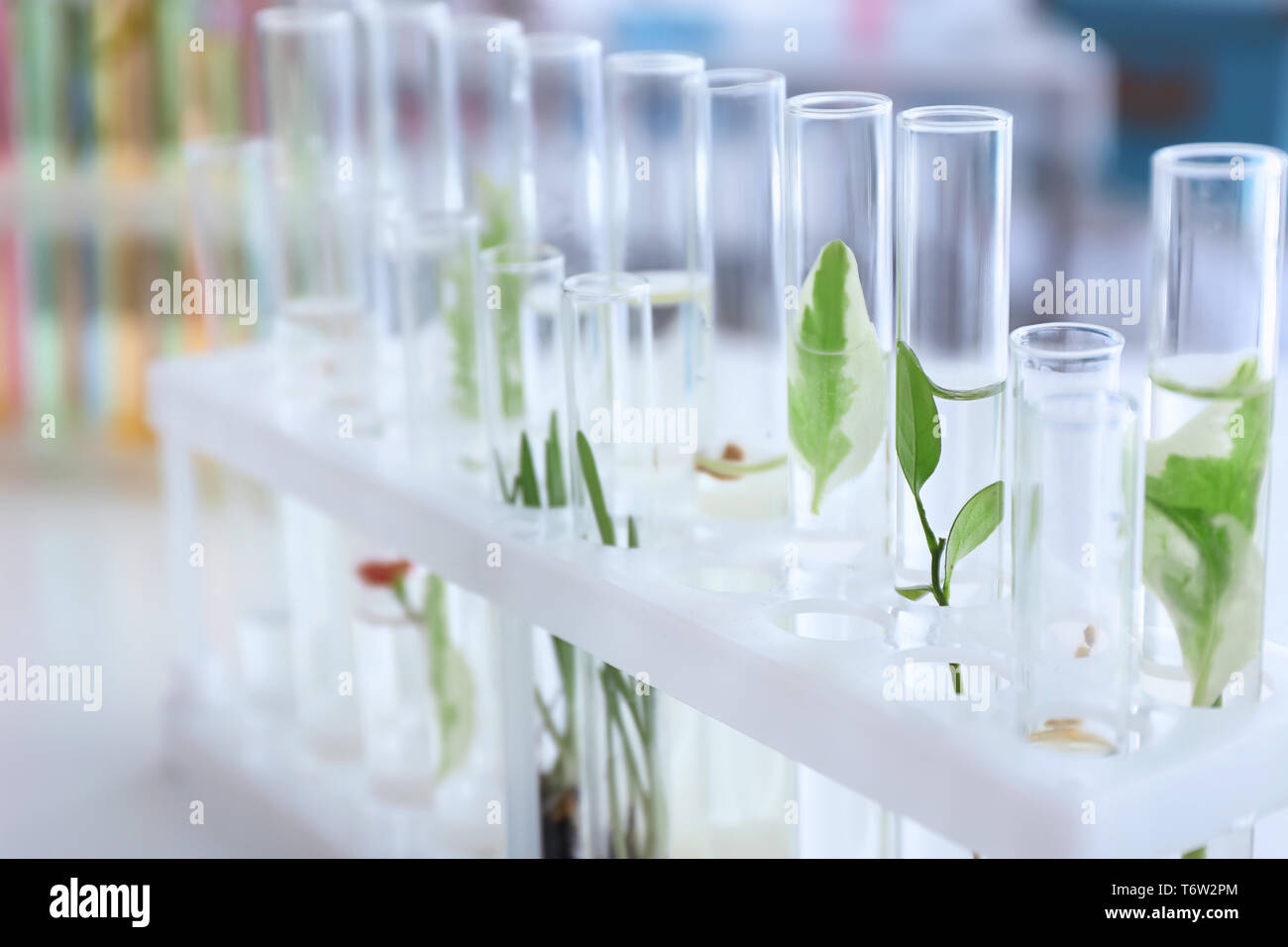 Extraction tube holder hi-res stock photography and images - Alamy