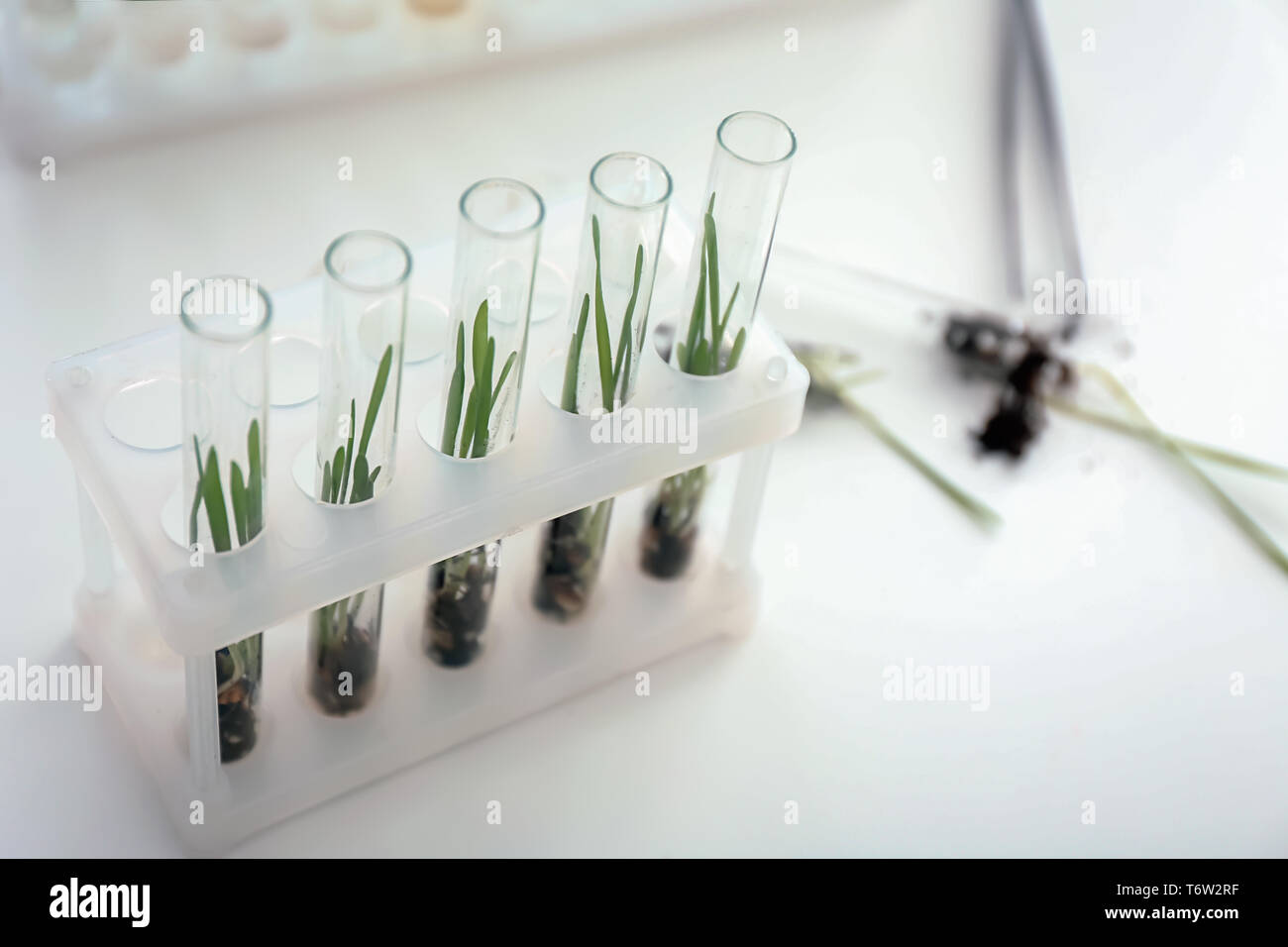 Extraction tube holder hi-res stock photography and images - Alamy