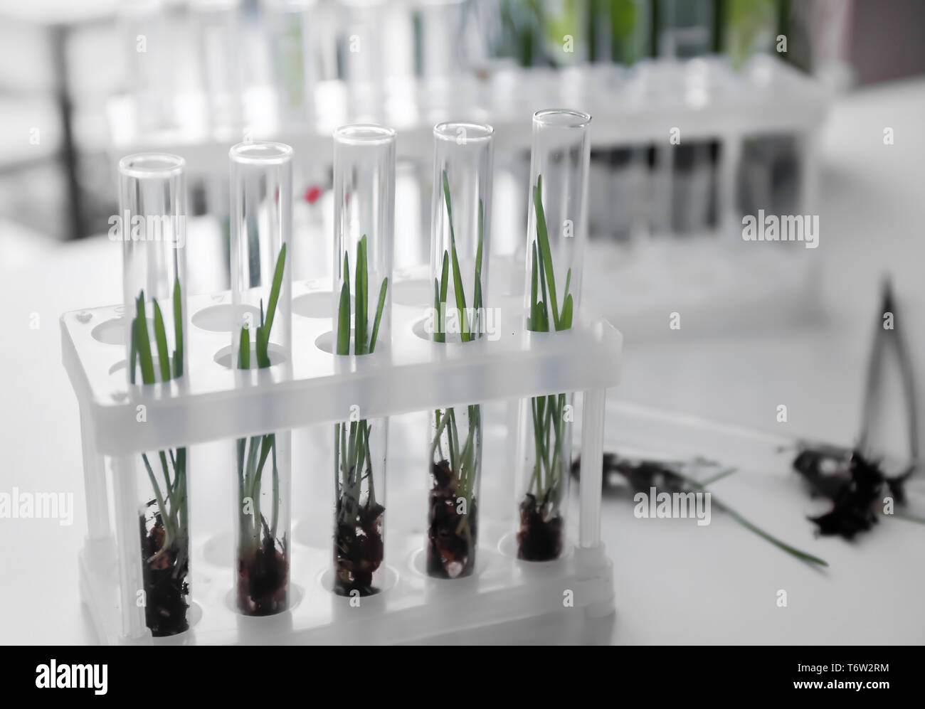 Extraction tube holder hi-res stock photography and images - Alamy