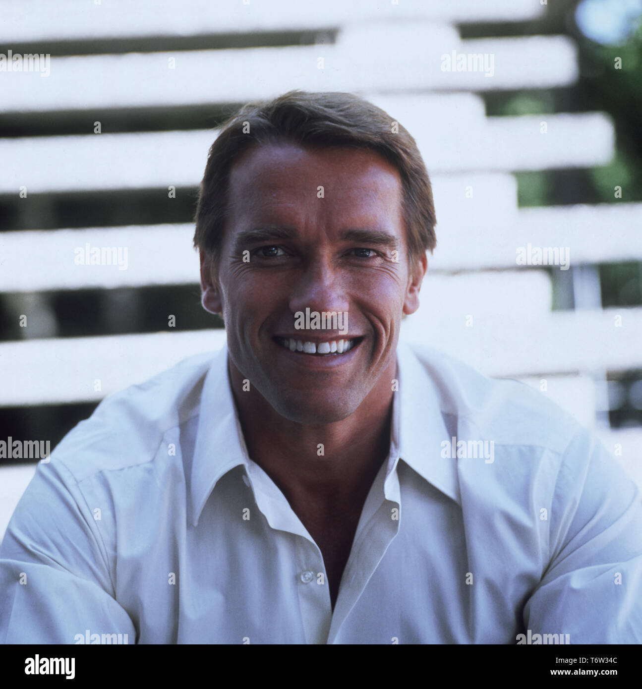 Arnold Schwarzenegger, österreichisch amerikanischer Schauspieler ...