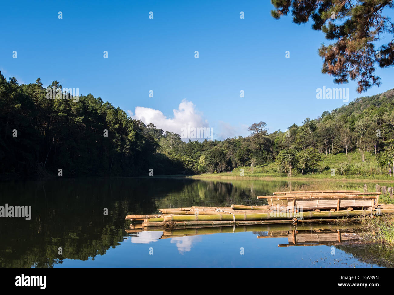 Tranquil lake with the wooden raft in the valley of the pine forest ...