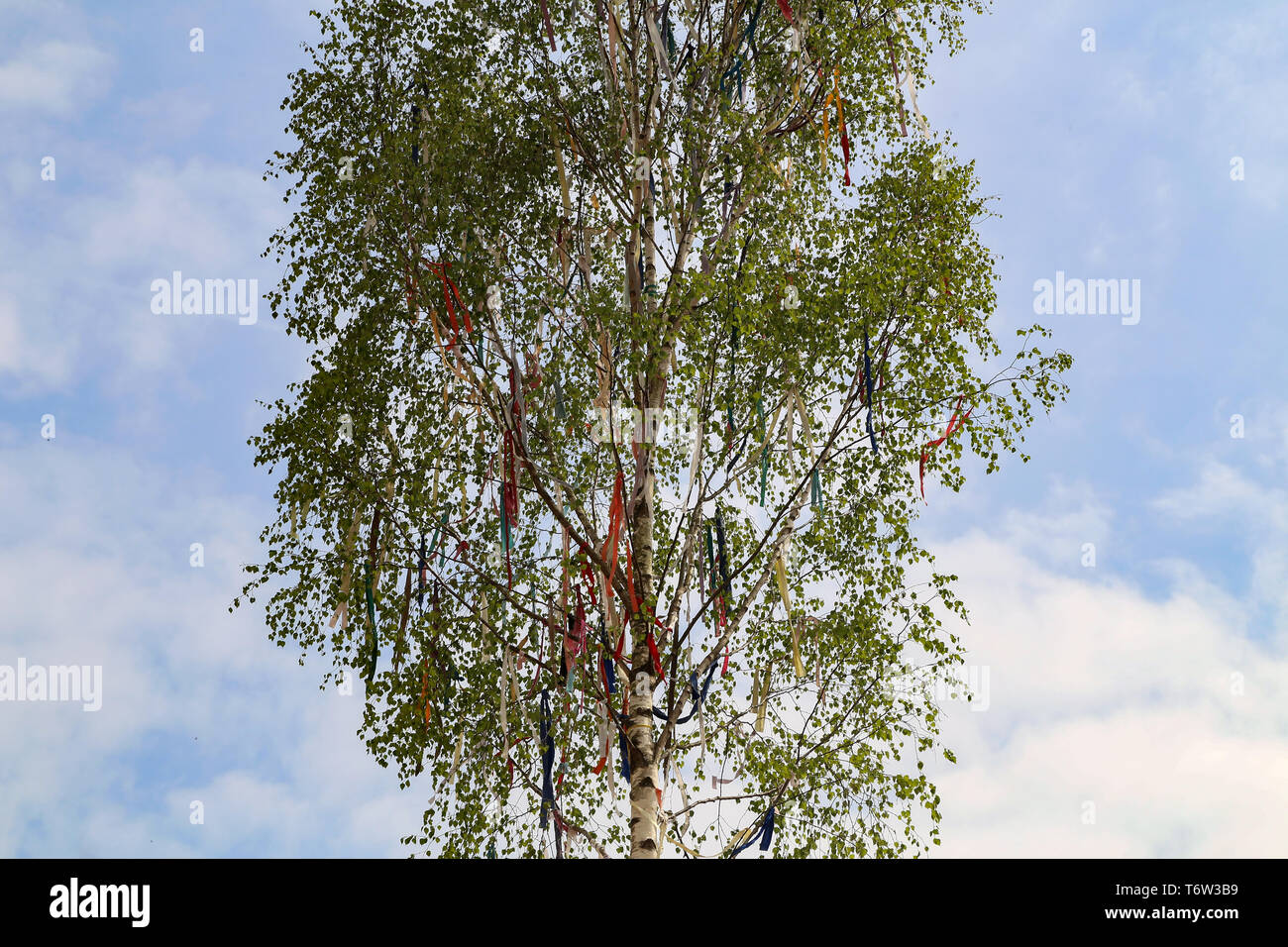Maypole ribbons hi-res stock photography and images - Alamy