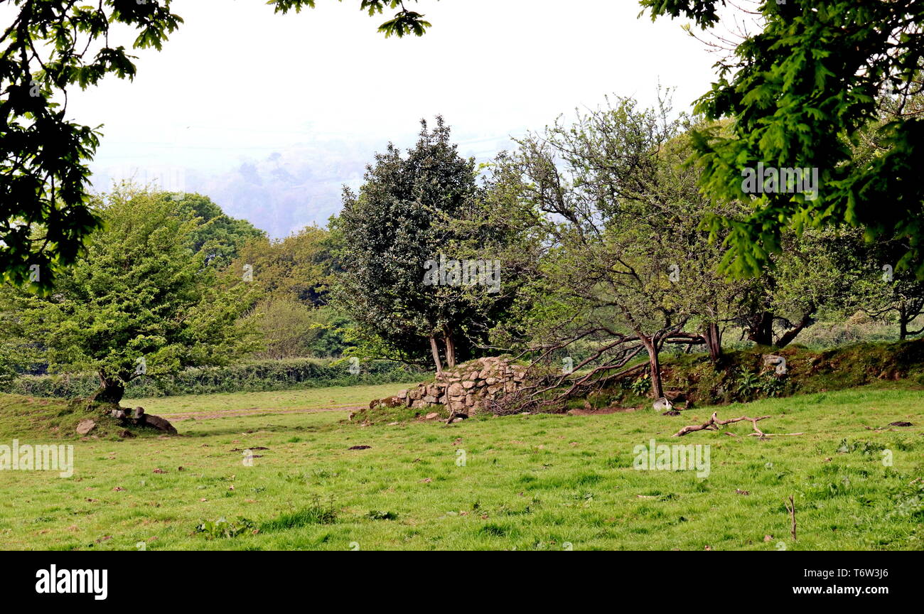 Dartmoor Landscape. Trees and bushes at the foot of Western Beacon ...