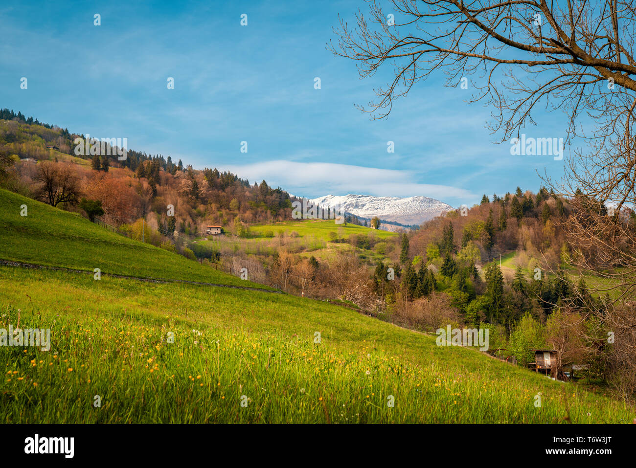 Landscape of green hills in Orobie mountains,background view of ...