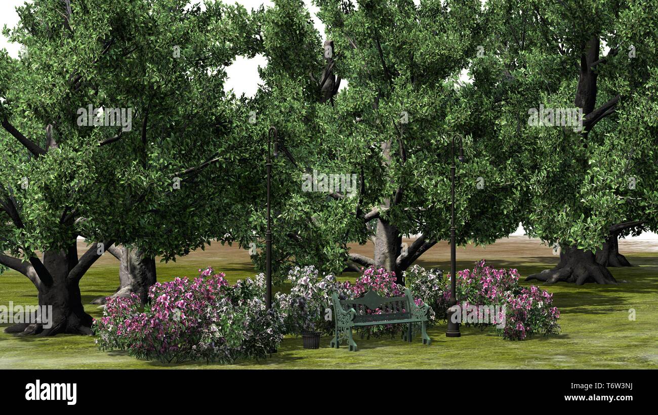 small park with bench, bush and trees Stock Photo - Alamy