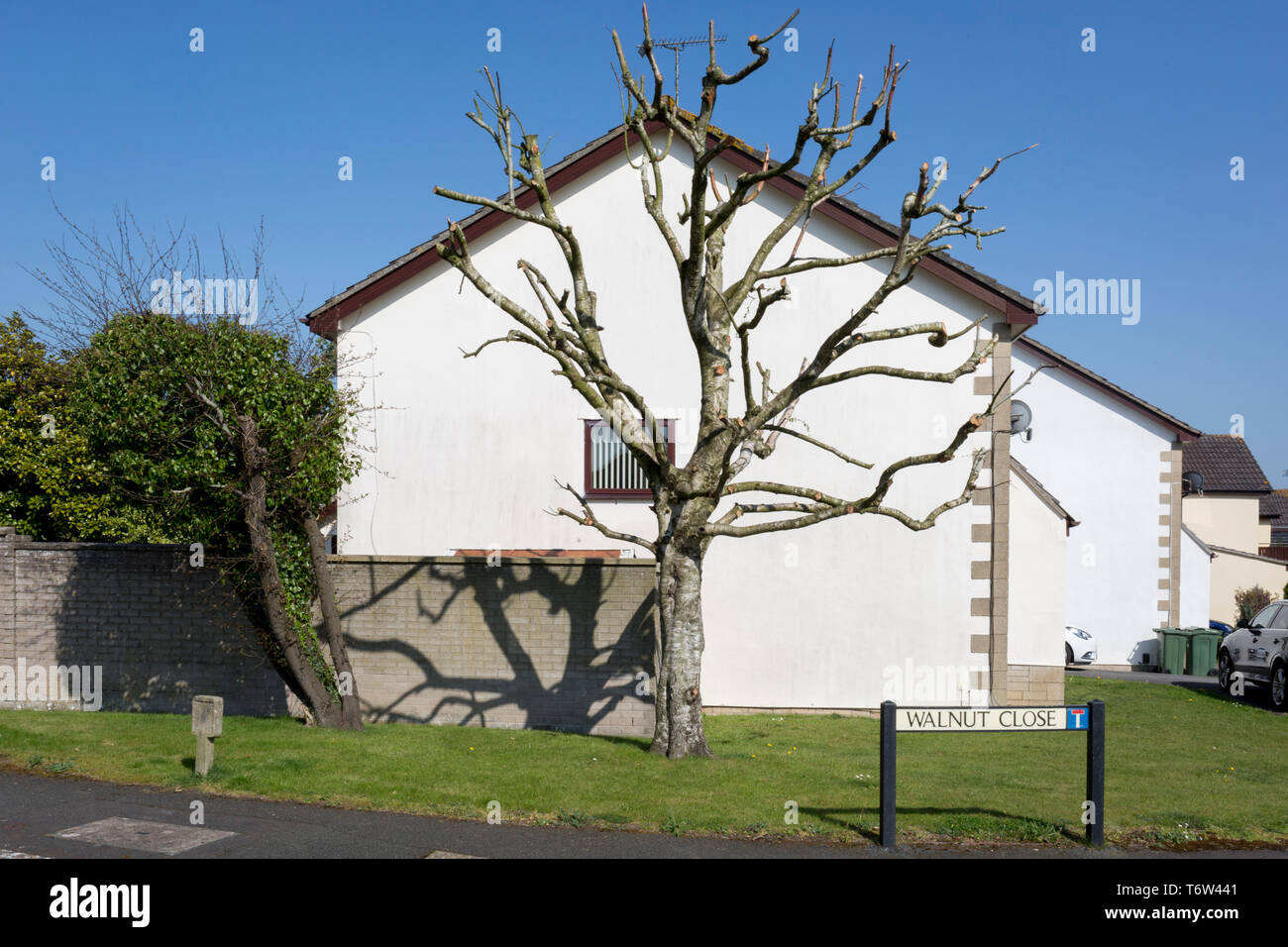 Middle class house britain hi-res stock photography and images - Alamy