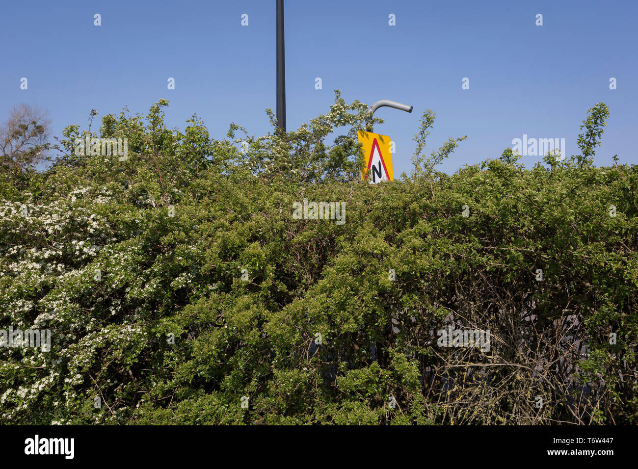 A triangular warning sign for Double Bend seen over the hedgerow of a ...