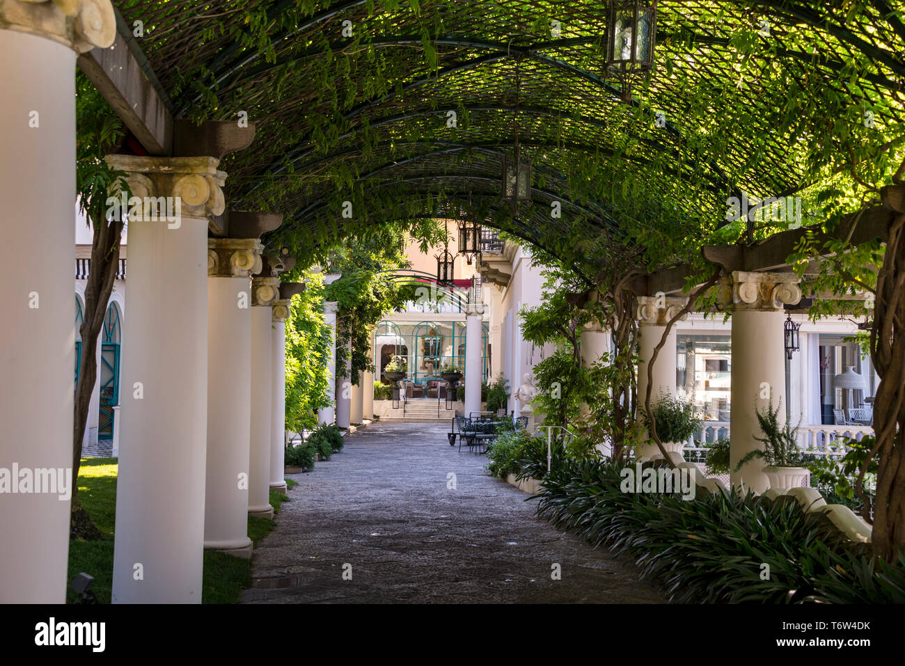 Vine covered pergola and shaded walkway in Sorrento, Italy Stock Photo ...