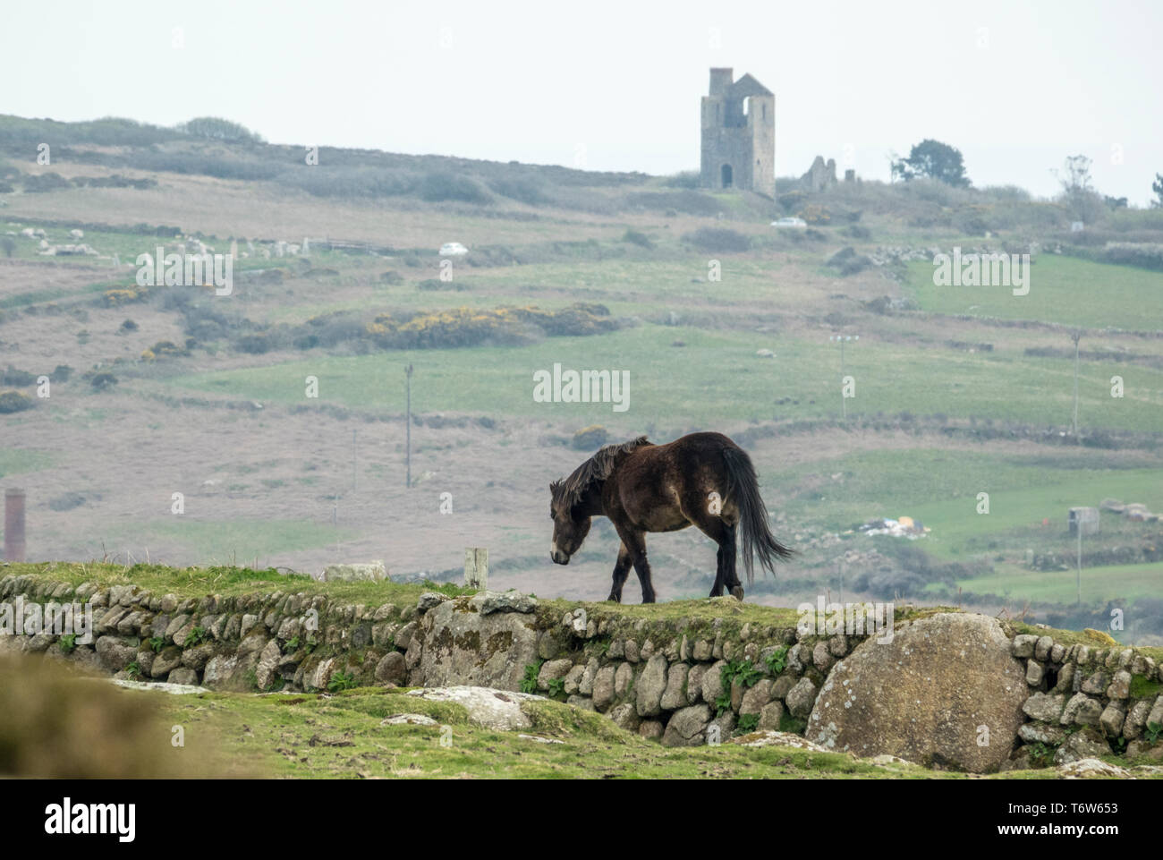 Rosewall hill hi-res stock photography and images - Alamy