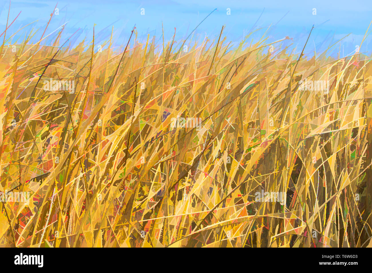 Illustrations of reeds at Franks Lake Stock Photo - Alamy