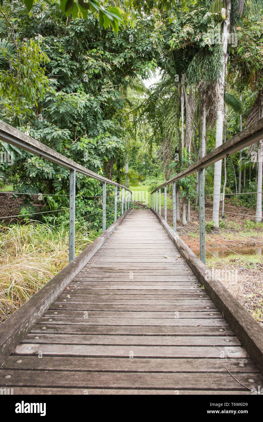 Footbridge perspective in outdoor garden landscape in Darwin, Australia ...