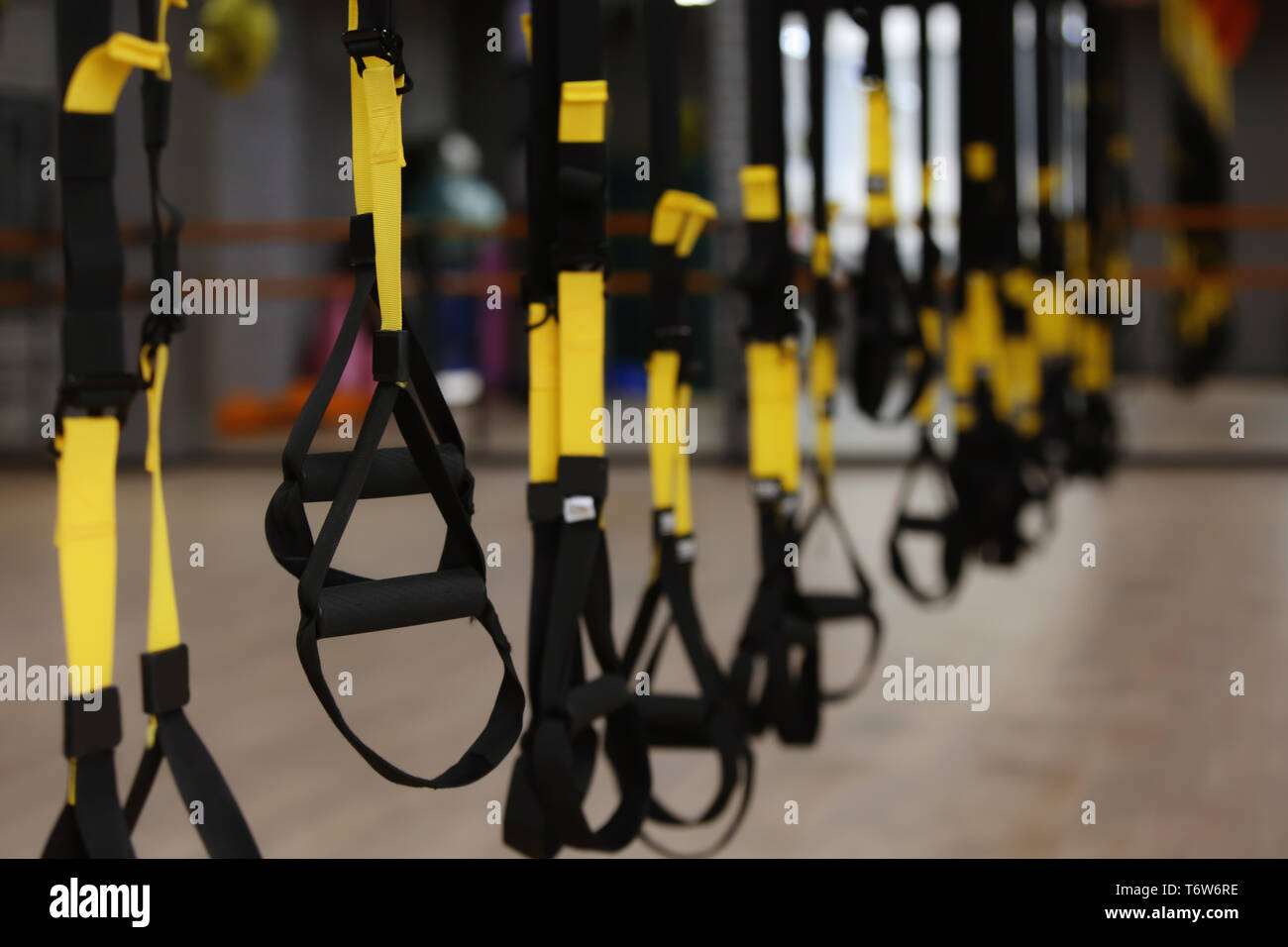 TRX straps in modern gym Stock Photo - Alamy