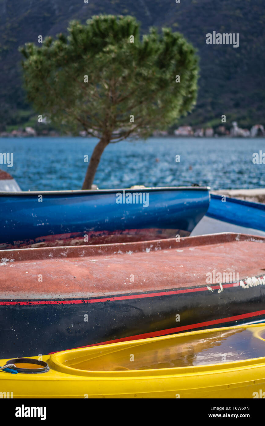 Tree and colorful fishing boats Stock Photo - Alamy