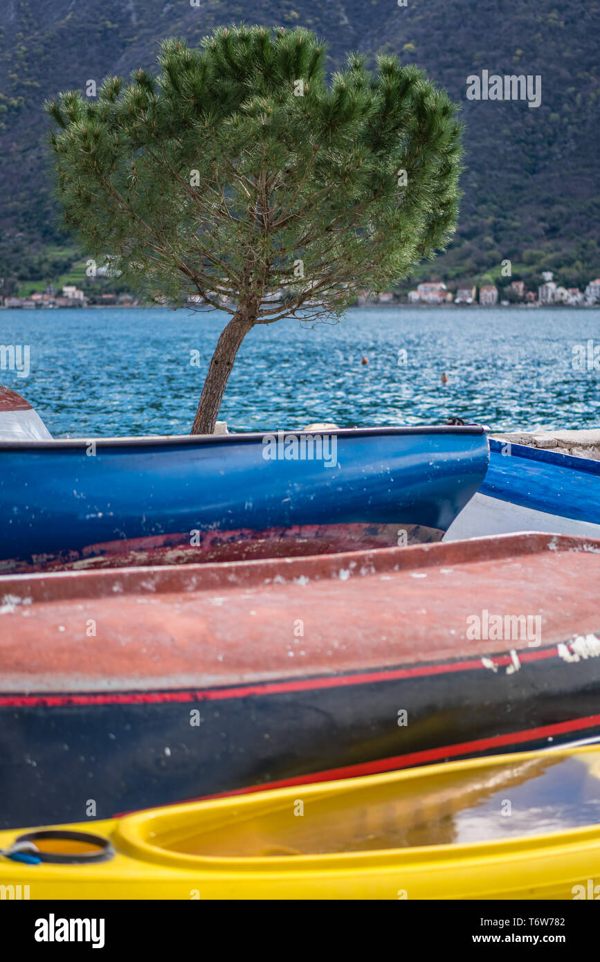 Tree and colorful fishing boats Stock Photo - Alamy