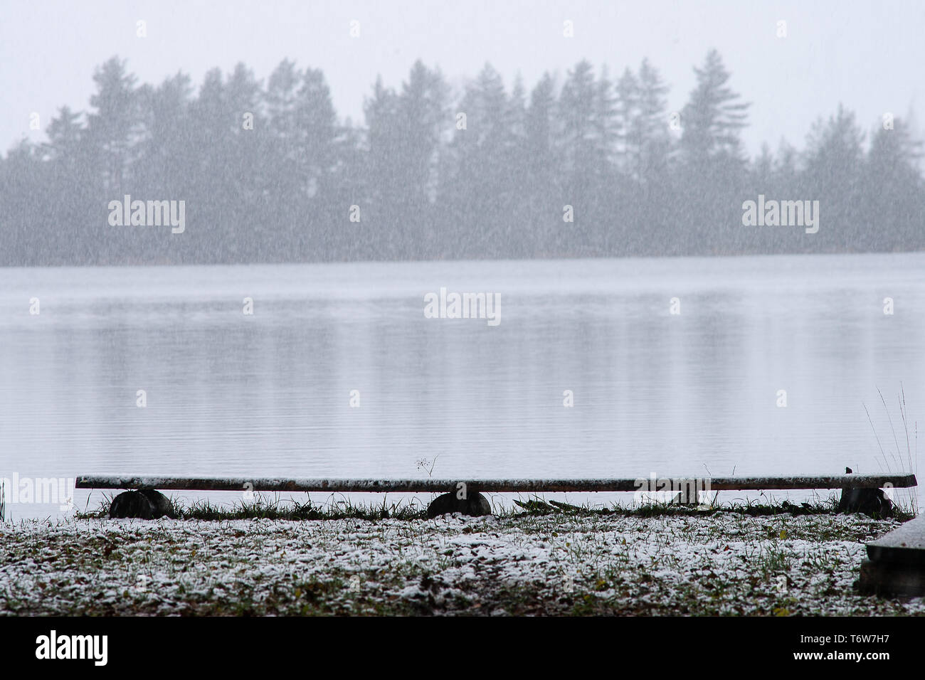 Sunrise in the bog. Icy cold marsh. Frosty ground. Swamp lake and ...