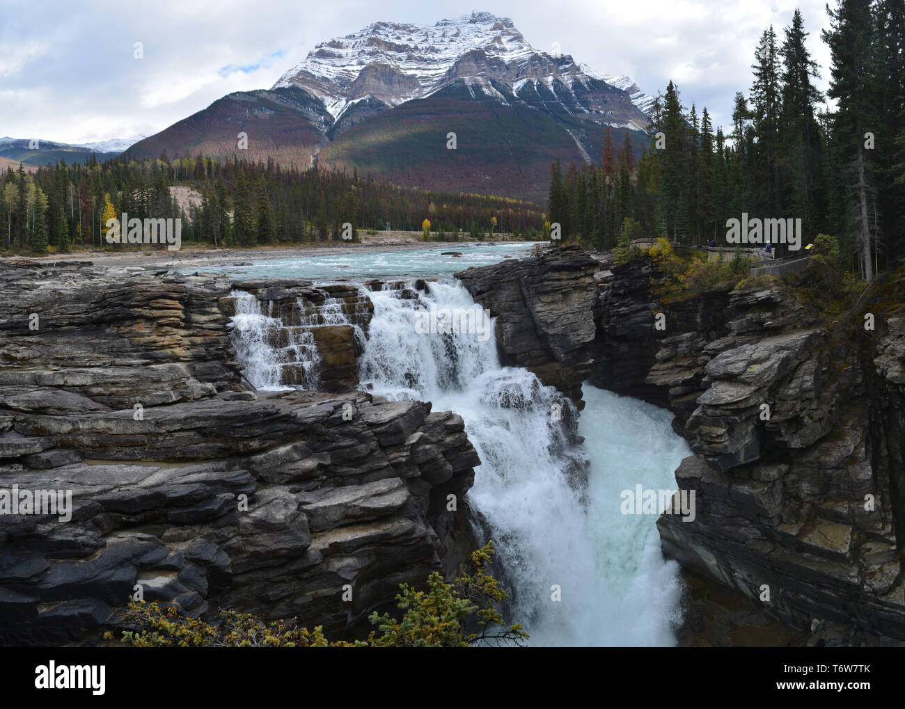Waterfall athabasca falls hi-res stock photography and images - Alamy