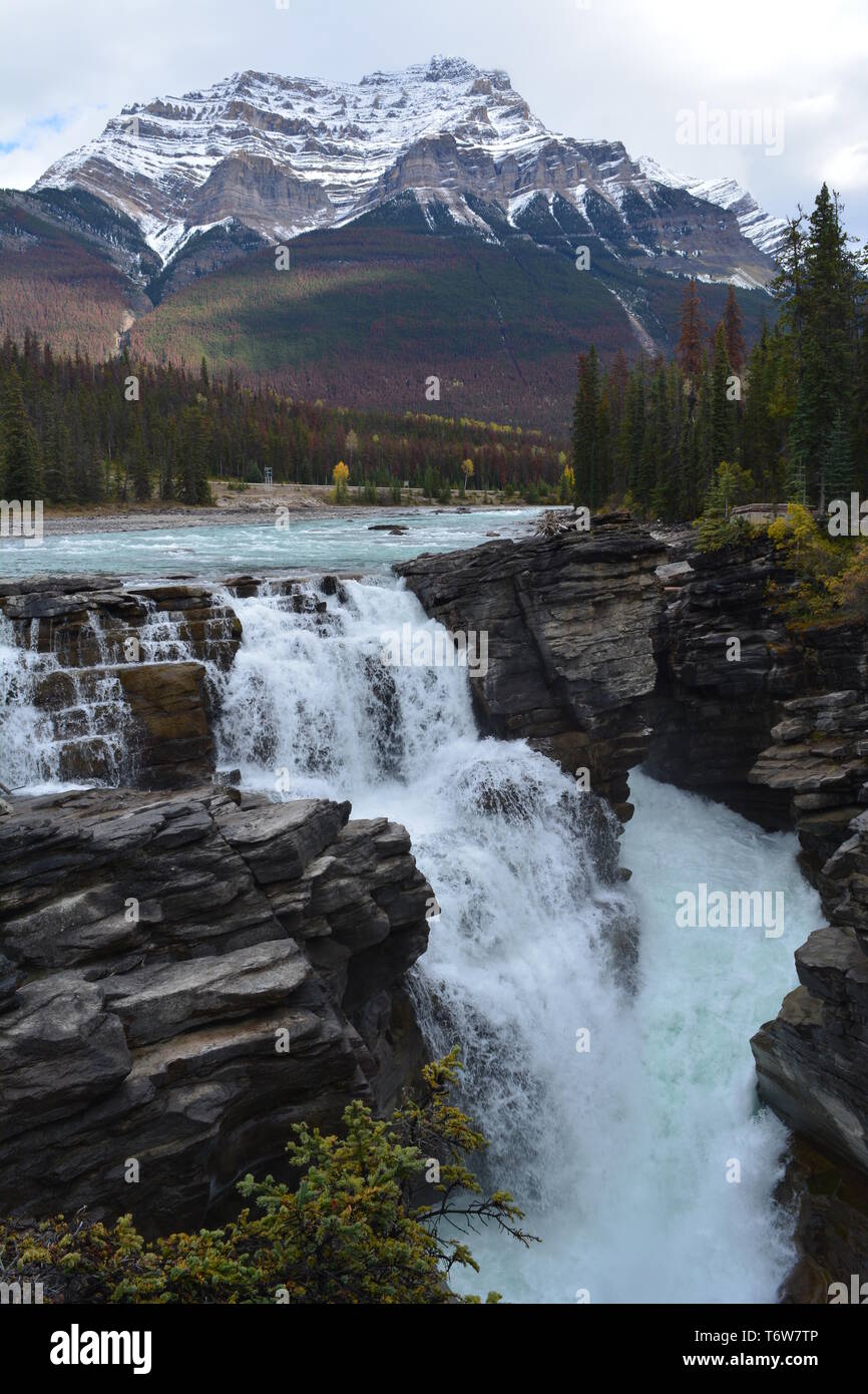 Waterfall athabasca falls hi-res stock photography and images - Alamy
