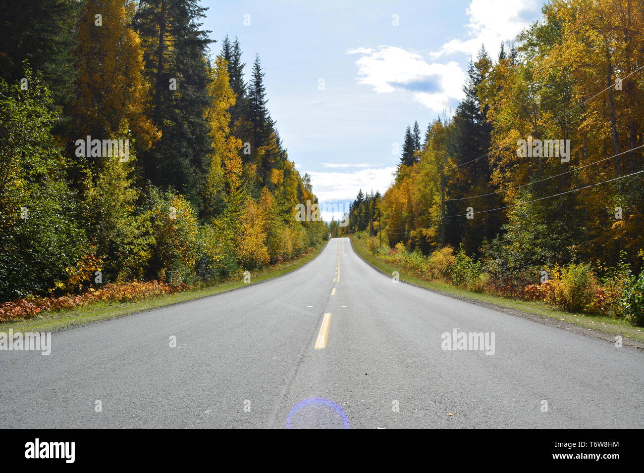 Street through forest hi-res stock photography and images - Alamy