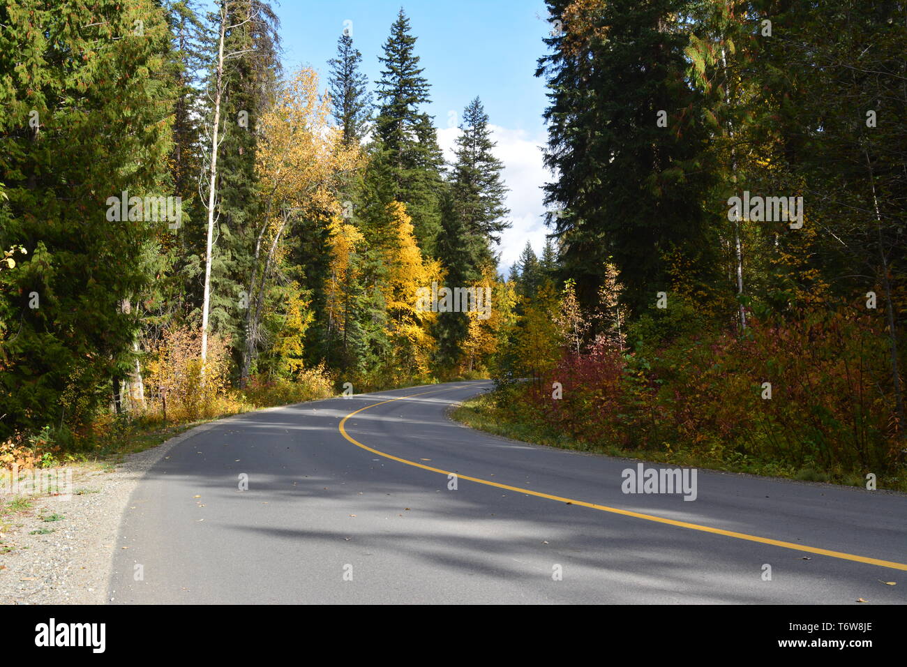 Street through forest hi-res stock photography and images - Alamy