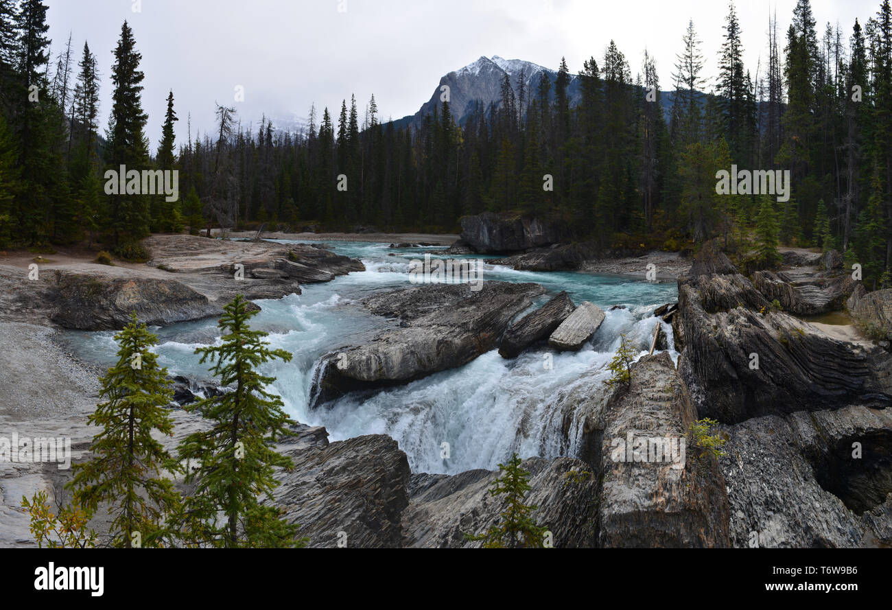 Nationalpark river hi-res stock photography and images - Alamy