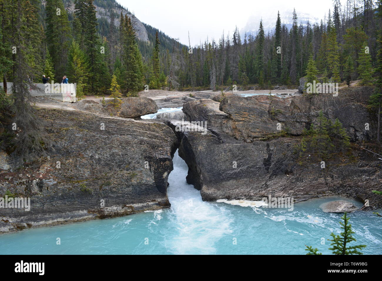 Natural bridge in yoho hi-res stock photography and images - Alamy
