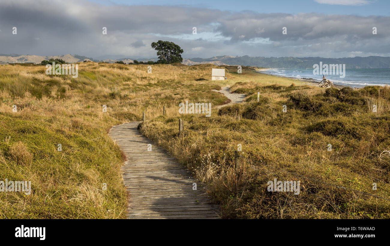 Costal path in New Zealand Stock Photo - Alamy
