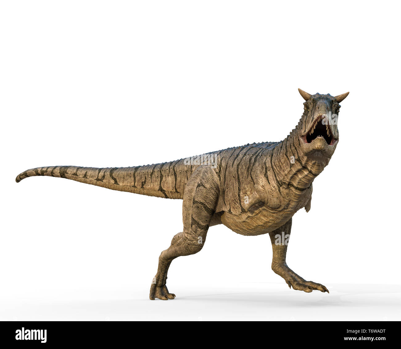 Carnotaurus hi-res stock photography and images - Alamy