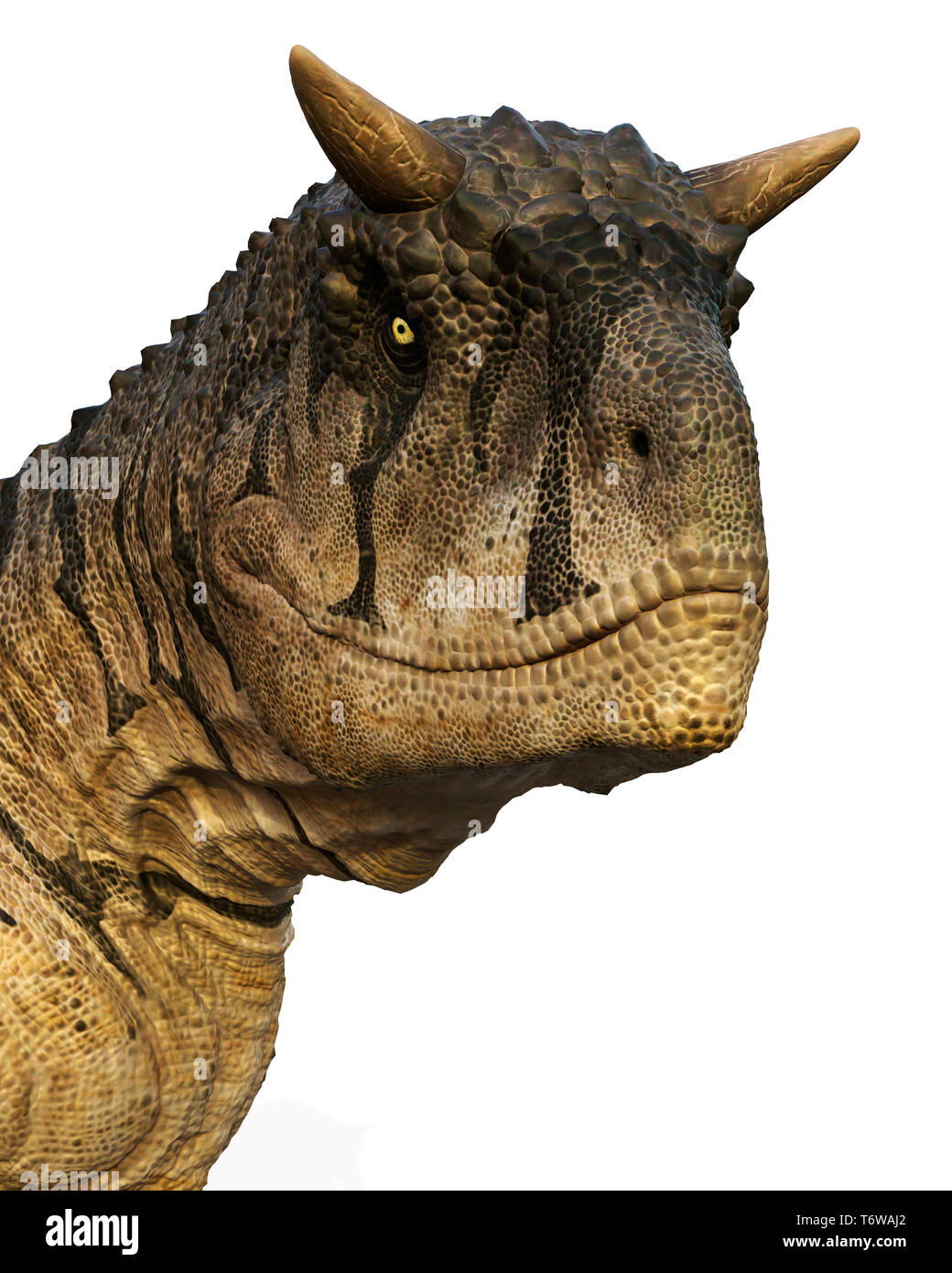the carnotaurus in a white background will put some fun in yours ...