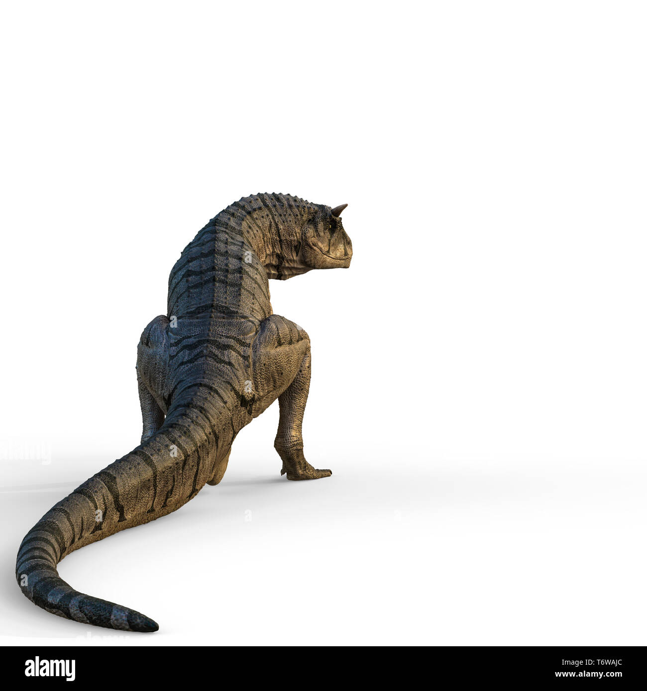 Carnotaurus dinosaur white background hi-res stock photography and ...