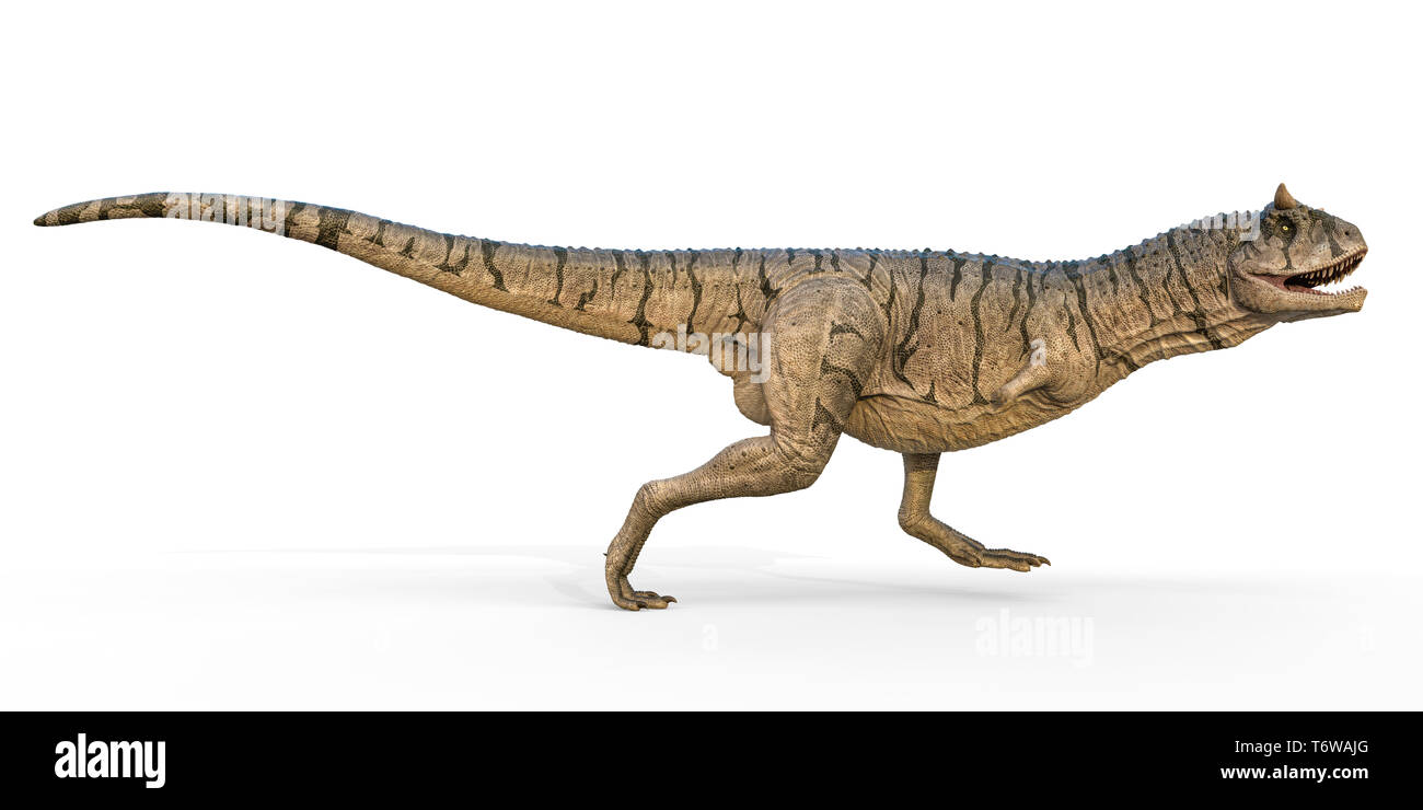 the carnotaurus in a white background will put some fun in yours ...