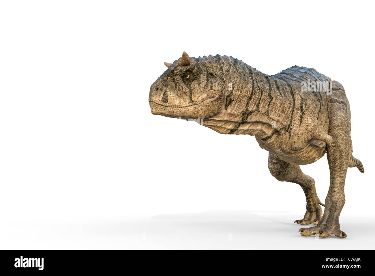 the carnotaurus in a white background will put some fun in yours ...