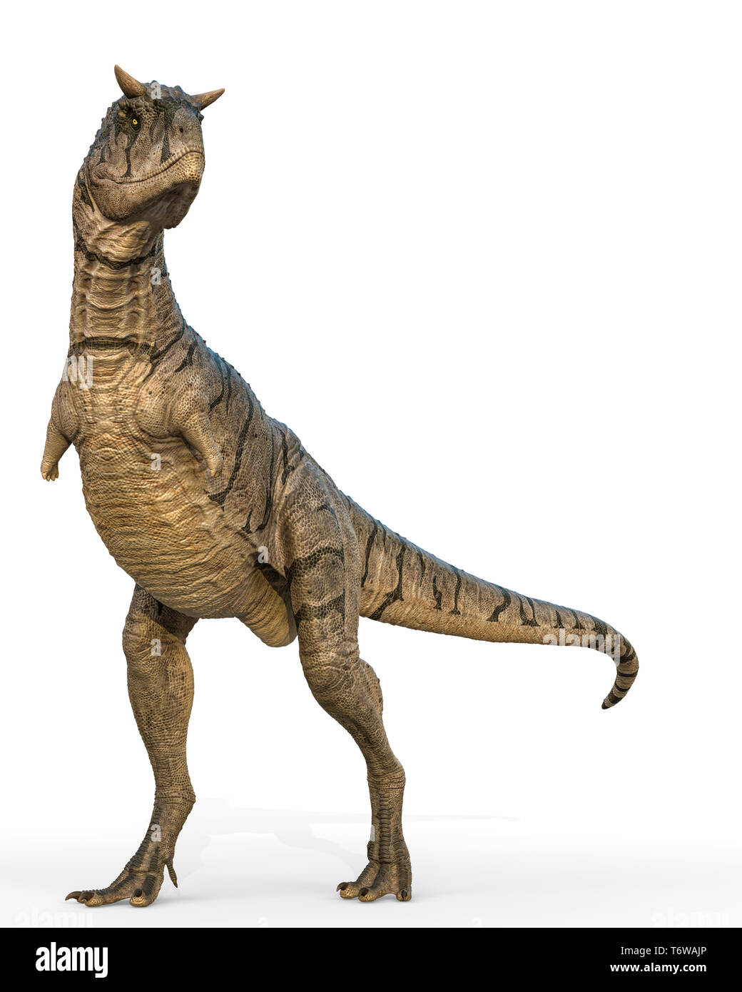 the carnotaurus in a white background will put some fun in yours ...