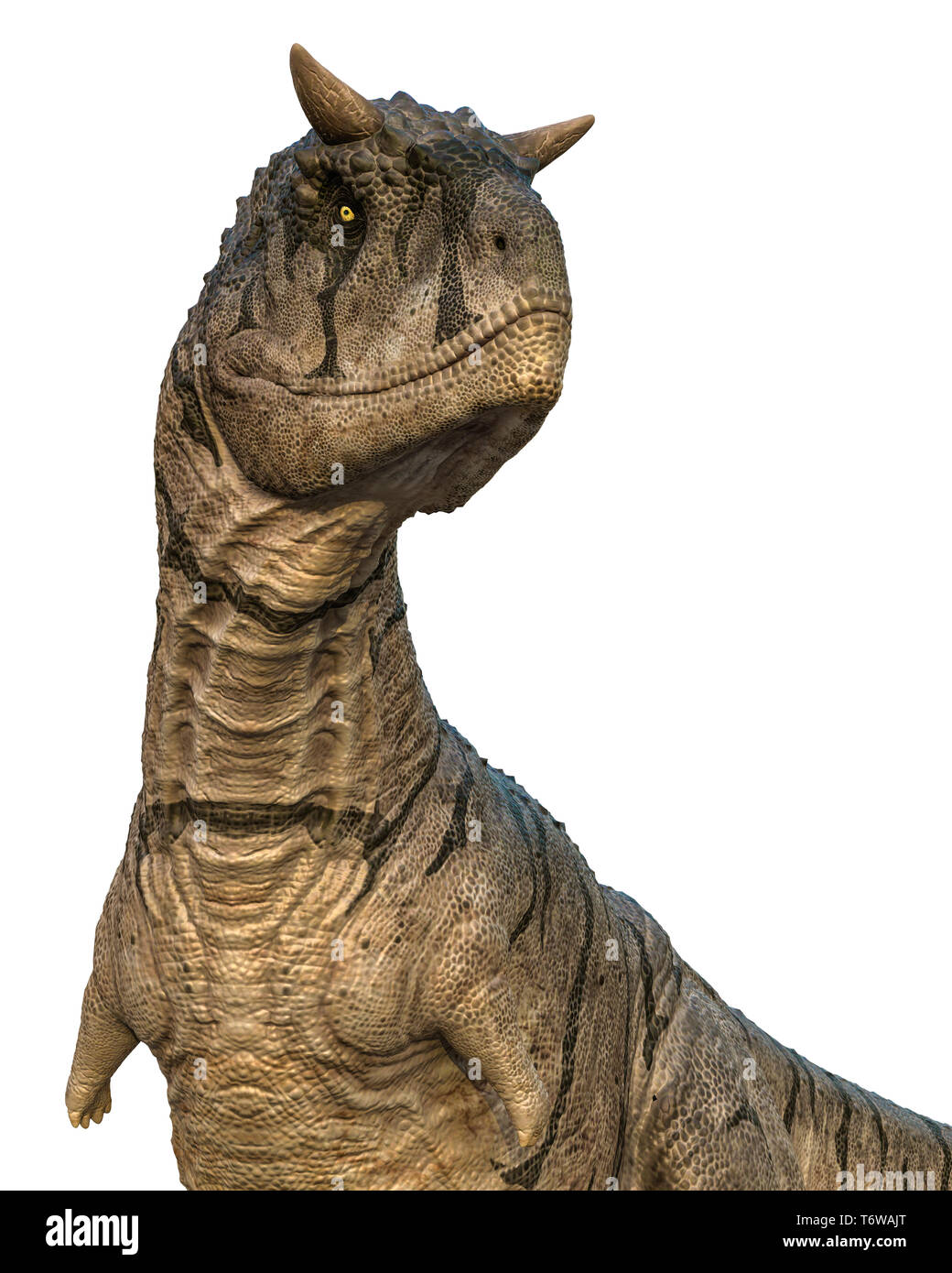 the carnotaurus in a white background will put some fun in yours ...