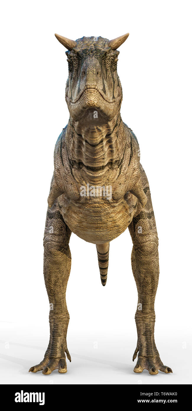 the carnotaurus in a white background will put some fun in yours ...