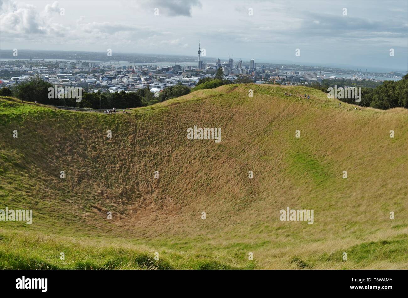 Auckland's volcanic Mount Eden crater in New Zealand Stock Photo - Alamy