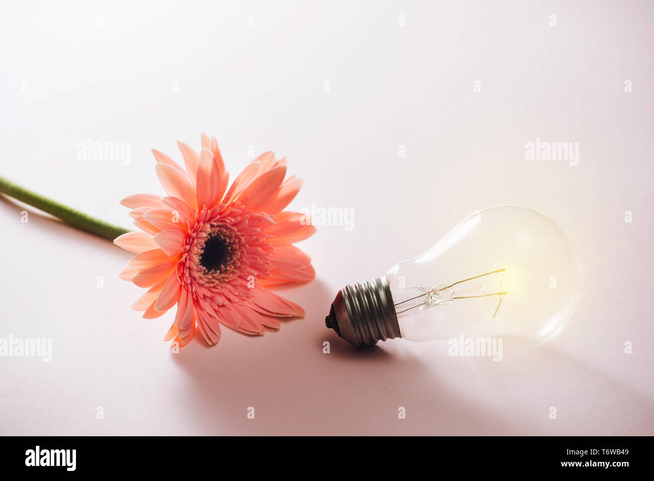 light bulb with beautiful flower around on pink background Stock Photo ...