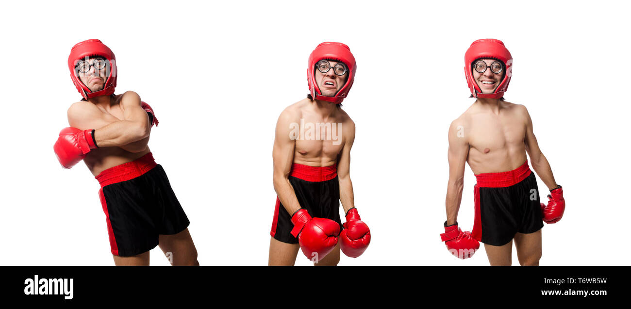 Funny boxer isolated on the white Stock Photo - Alamy