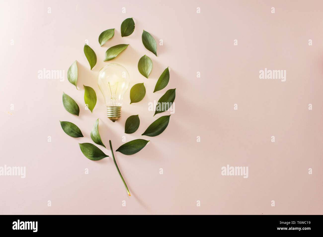 Light bulb with green leaves Stock Photo - Alamy