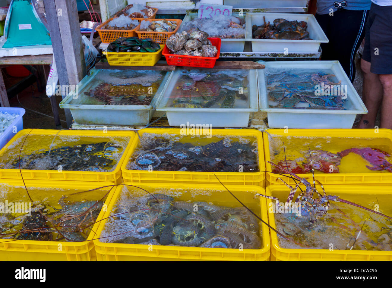 Island thailand fish fresh hi-res stock photography and images - Alamy