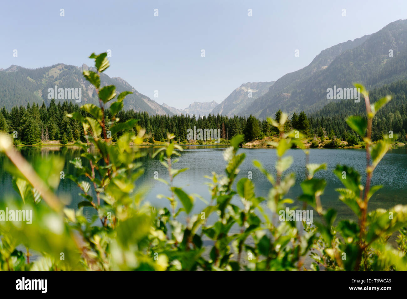 Gold creek pond hi-res stock photography and images - Alamy