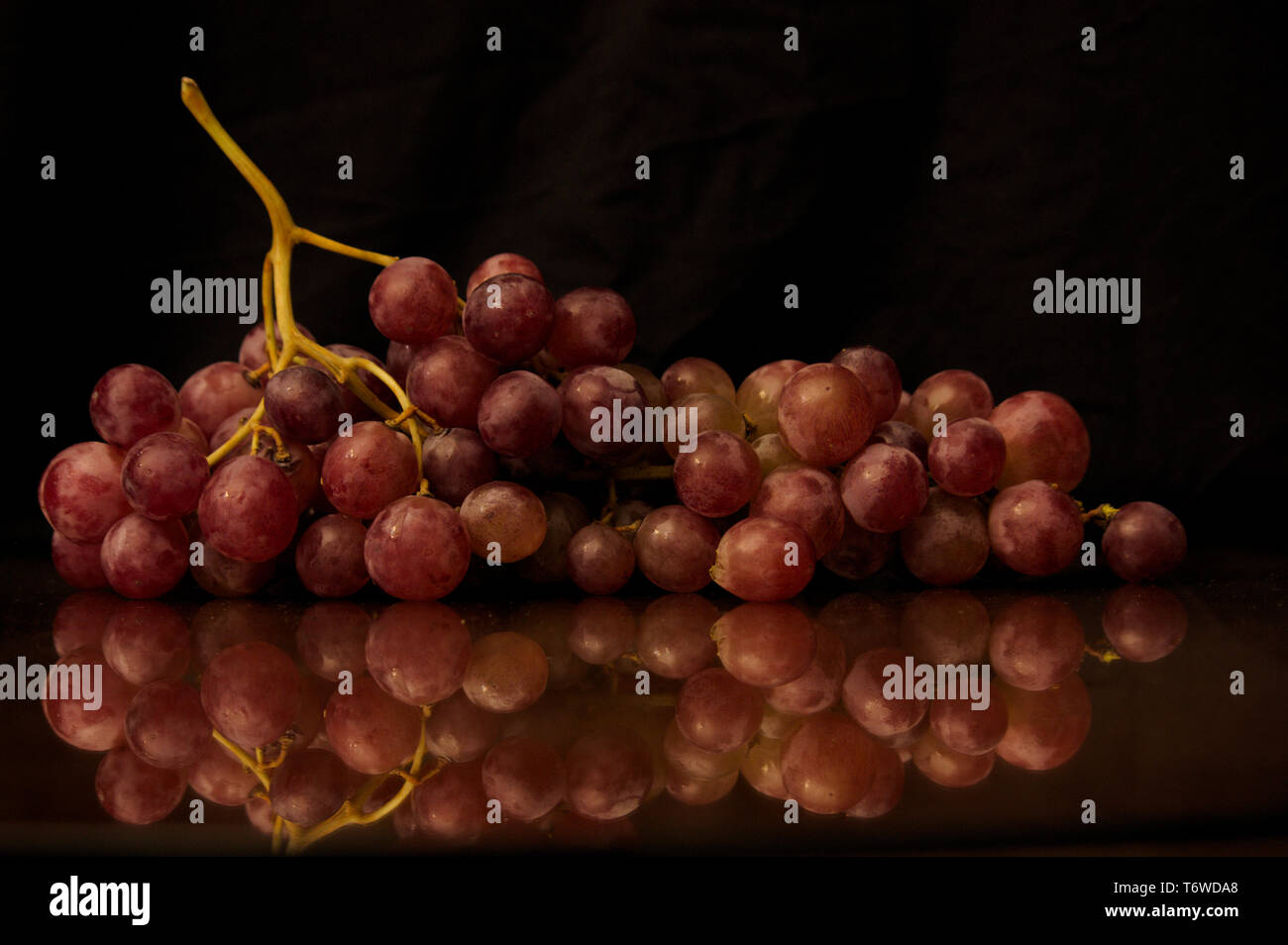 Cluster of black grape on a reflective surface and dark background ...