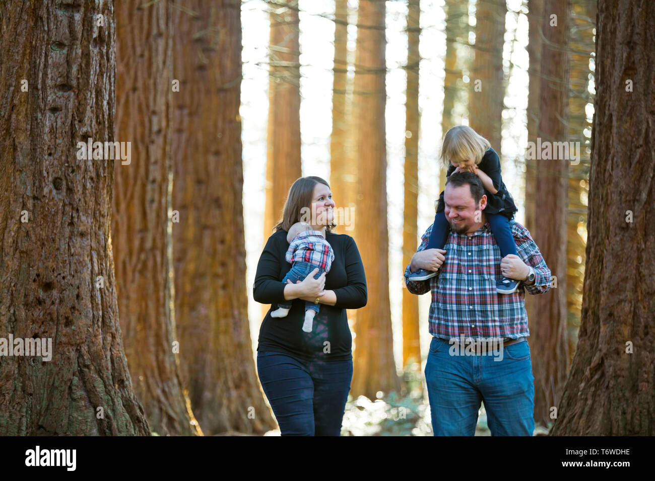 Family of four laughing while walking through tranquil forest Stock ...