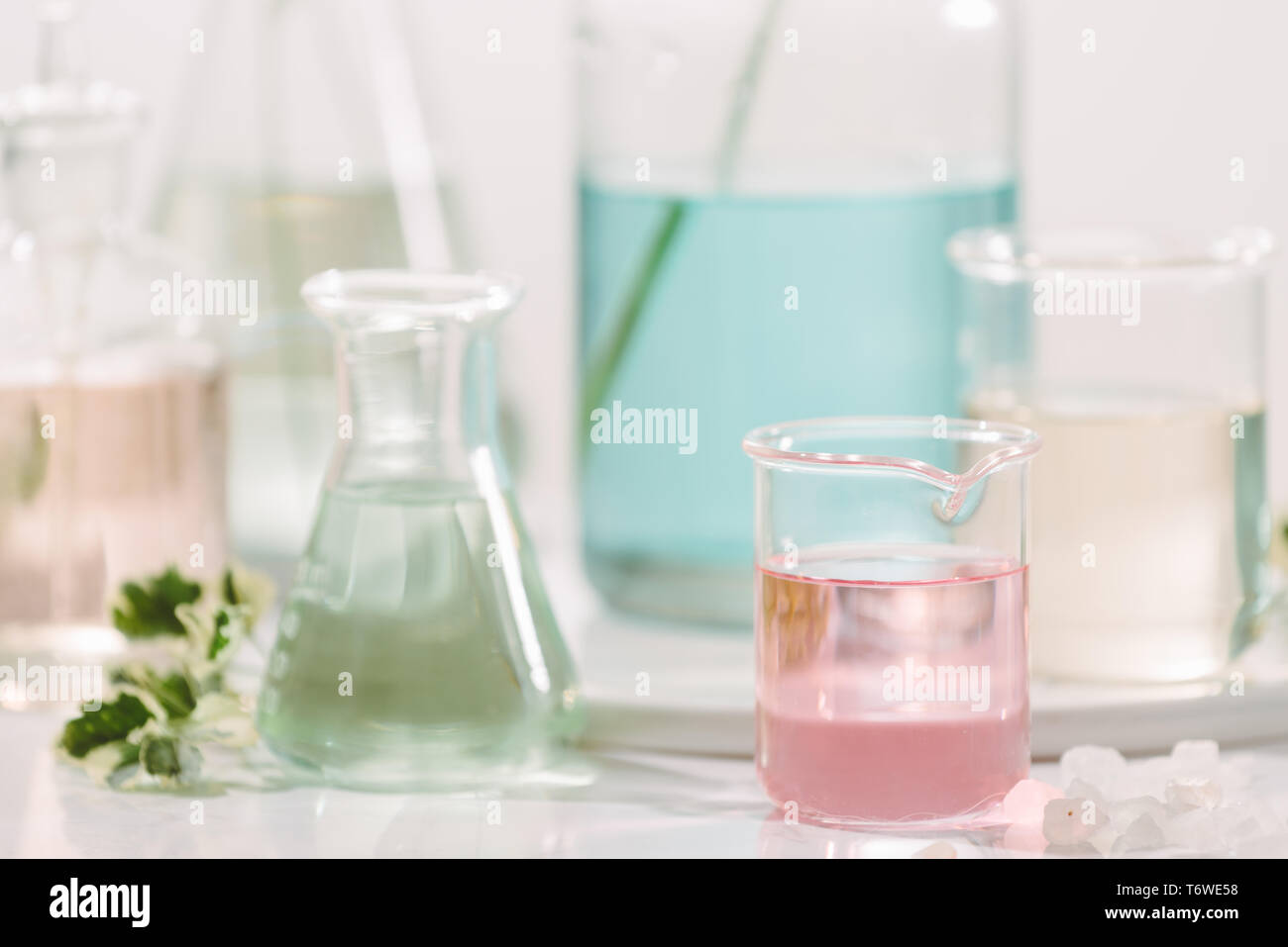 Laboratory experiment and research with leaf,oil and ingredient extract for natural beauty and ...