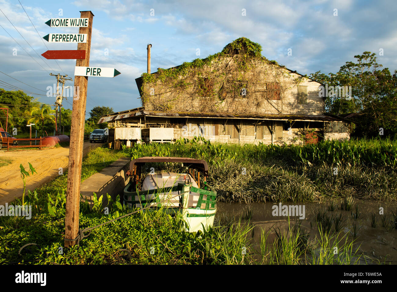 Peperpot plantation suriname hi-res stock photography and images - Alamy