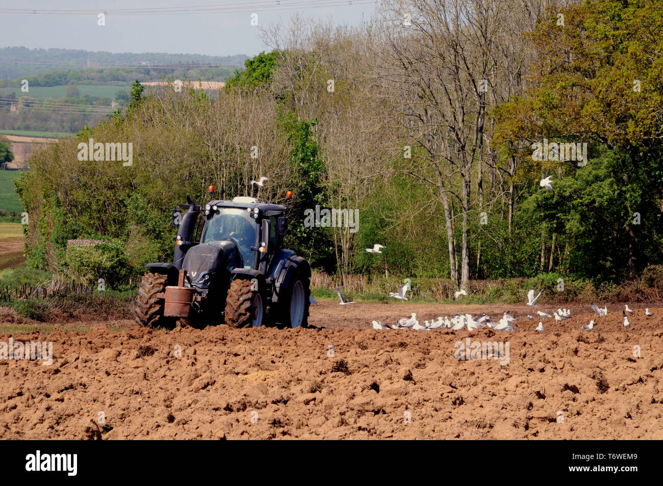 Cowbeech village hi-res stock photography and images - Alamy