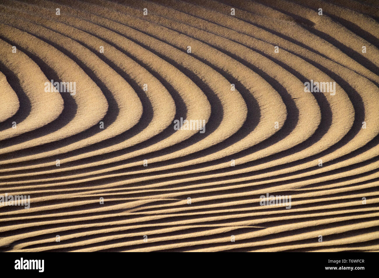 Background texture of sand dunes Stock Photo - Alamy