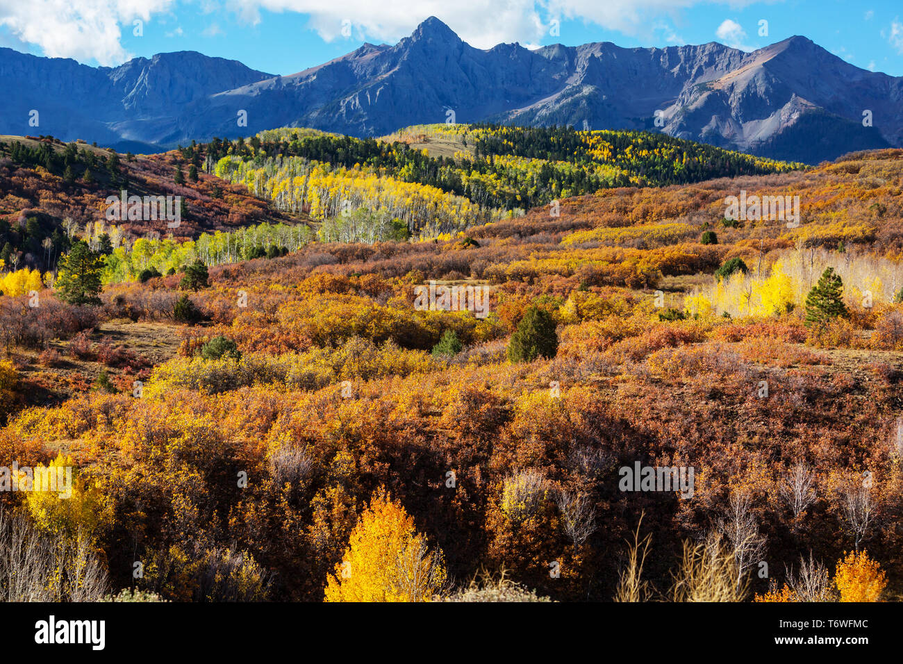 Autumn in Colorado Stock Photo - Alamy